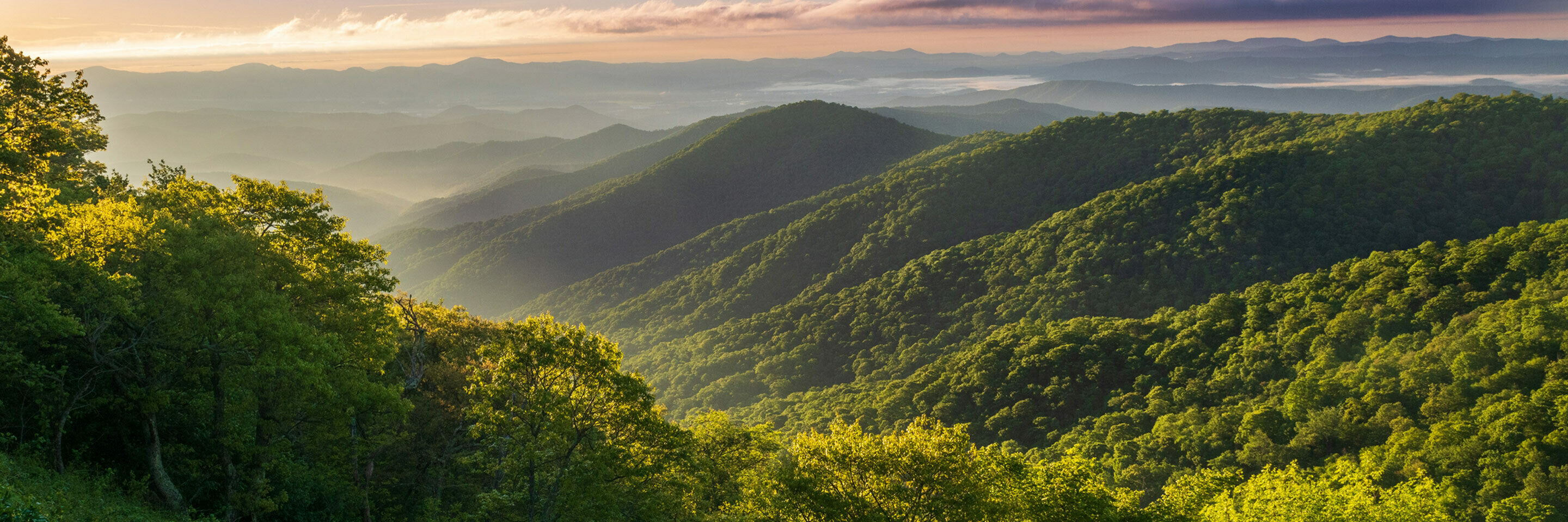Discover Sustainability Reports from SK Companies | SK