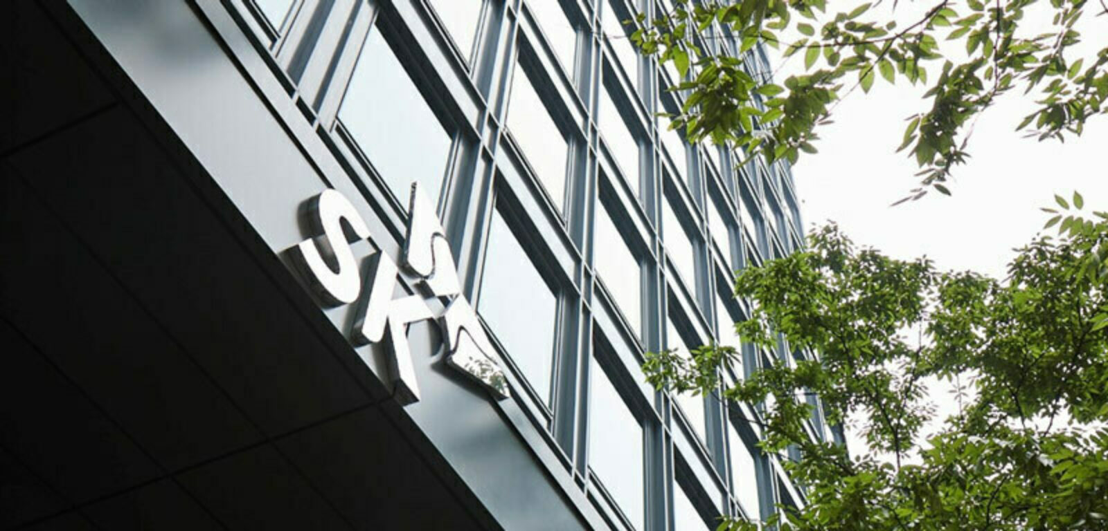 Discover Sustainability Reports from SK Companies | SK